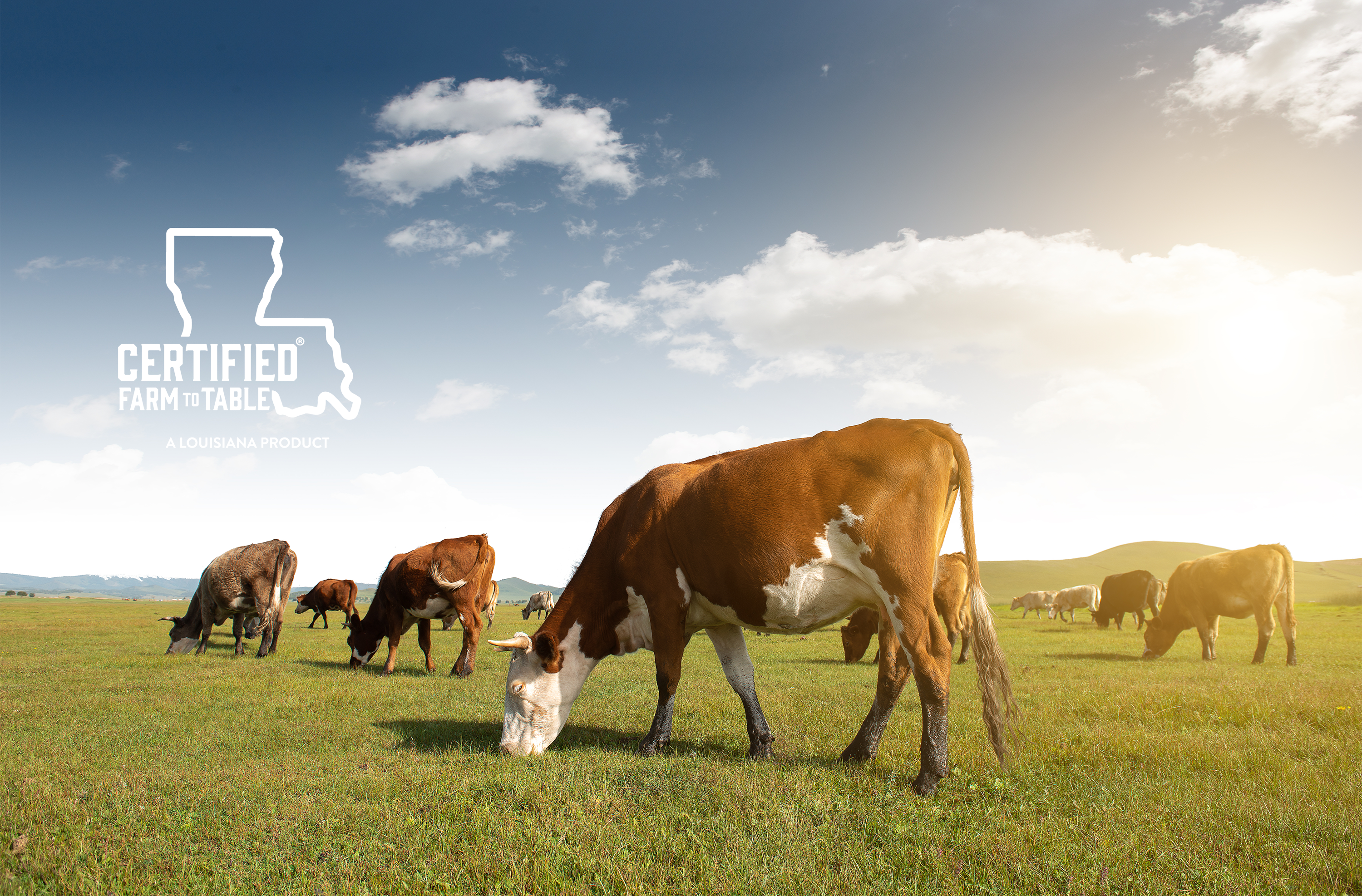 Ultimate Guide to Grassfed Beef