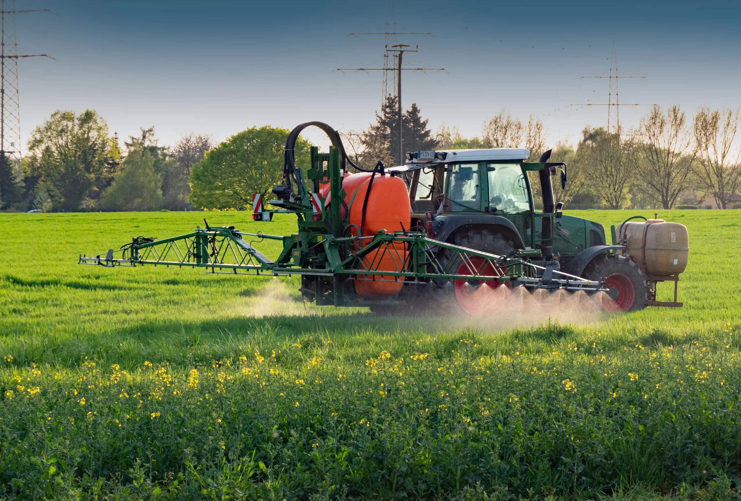The Hidden Dangers of Glyphosate: Why Choosing Organic Matters for Your ...
